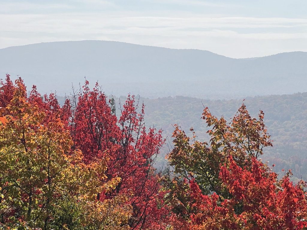 10 Best Hiking Trails in Old Forge, NY: A Hiker's Guide